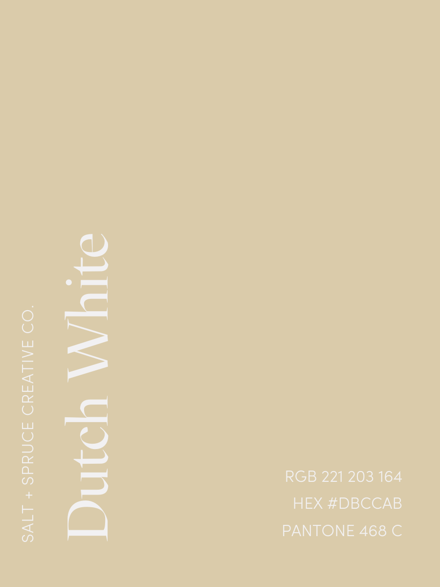 Maria Azcona Photography - Salt + Spruce Creative Co.