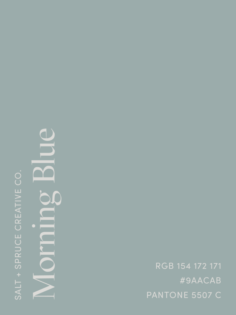 Arrowed Beginnings - Salt + Spruce Creative Co.