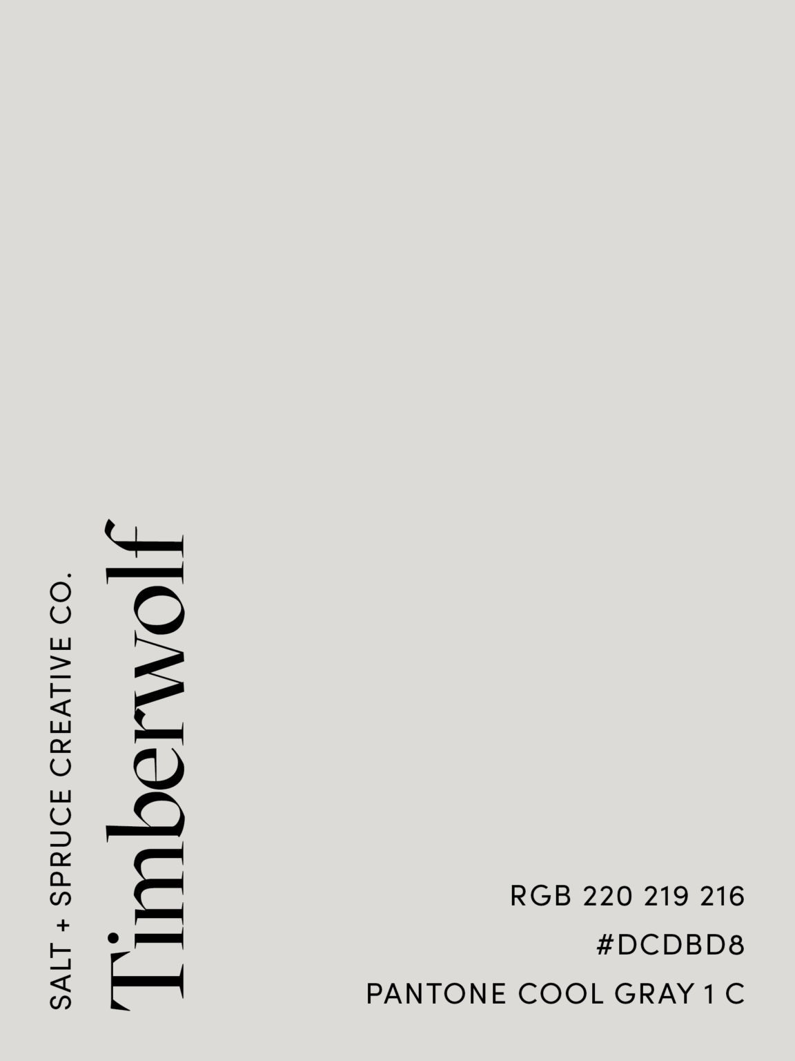 Arrowed Beginnings - Salt + Spruce Creative Co.