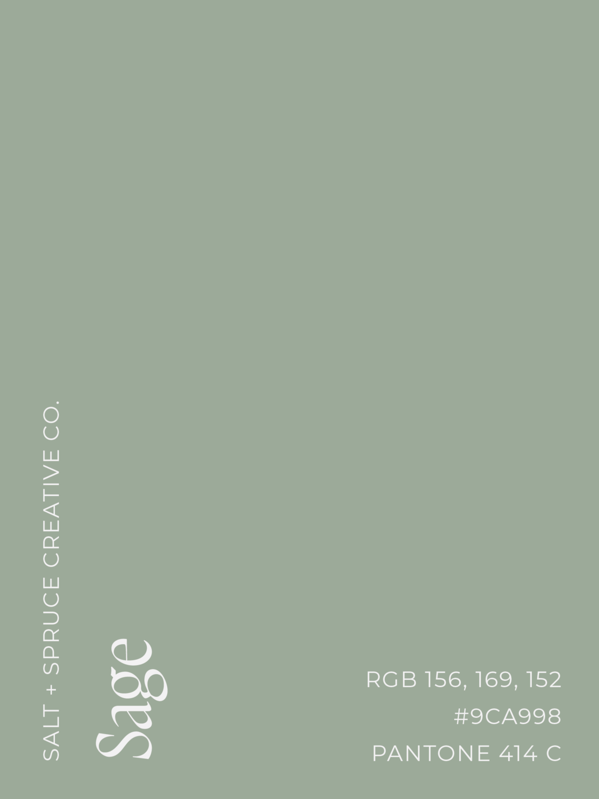 Katie Annie Photography - Salt + Spruce Creative Co.