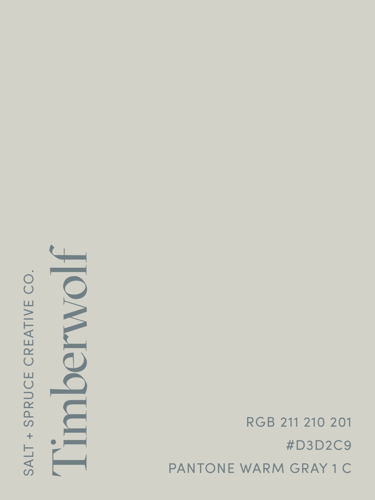 Carried Away Films - Salt + Spruce Creative Co.